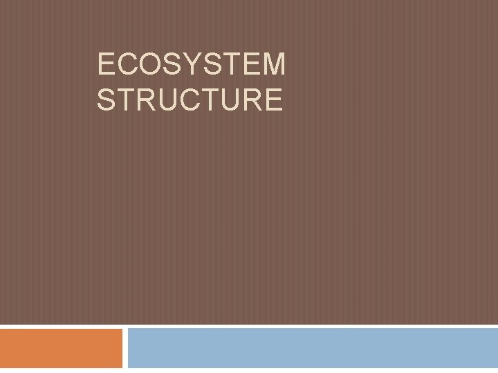 ECOSYSTEM STRUCTURE Principles of Life All life has