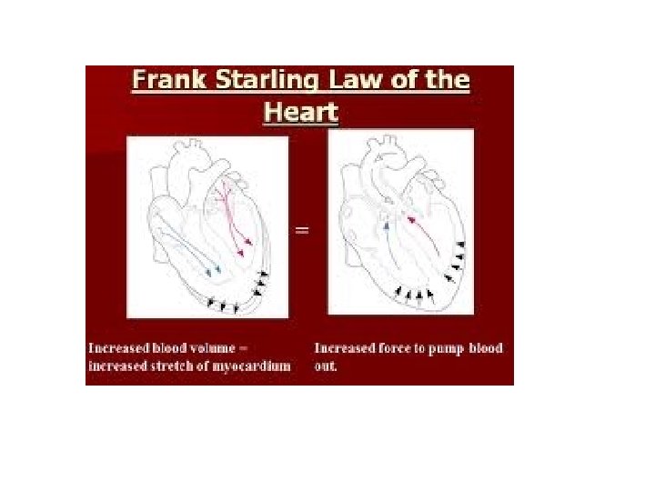 La legge di Frank Starling legge del cuore