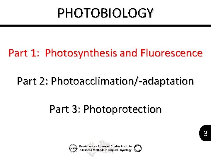 PHOTOBIOLOGY Nadine Schubert Instituto de Ciencias del Mar