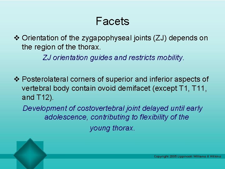 Chapter 25 The Thoracic Spine Copyright 2005 Lippincott