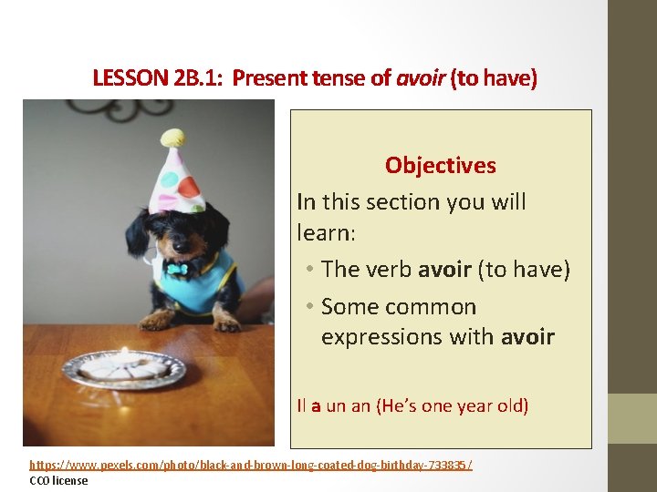 LESSON 2 B 1 Present tense of avoir