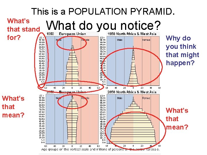 Population Pyramids What can we learn about tomorrow