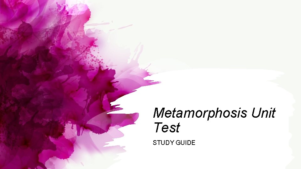 Metamorphosis Unit Test STUDY GUIDE Magical Realism chart