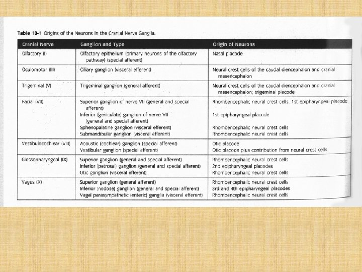 Entwicklung und Derivate der Neuralleiste und des Plakodektoderms