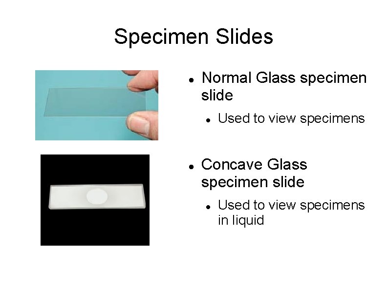Tools We Will Use Compound Light Microscope Used