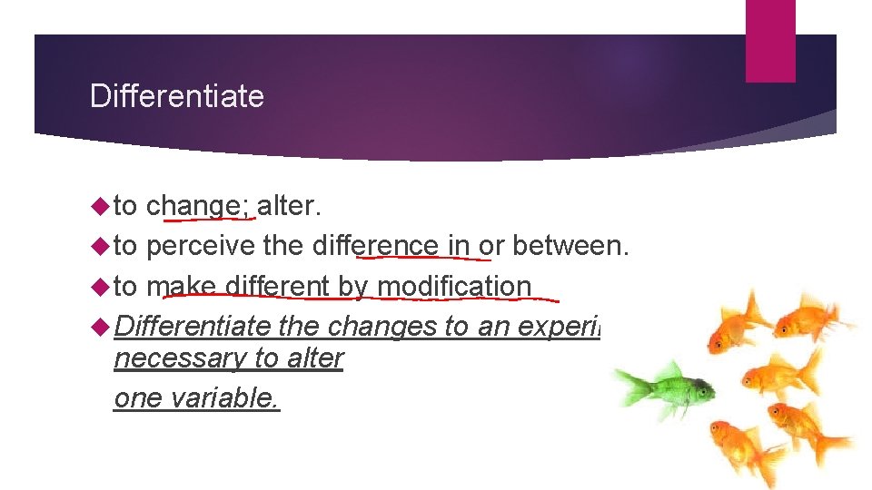 Depth of Knowledge Vocabulary List 2 LIST 2