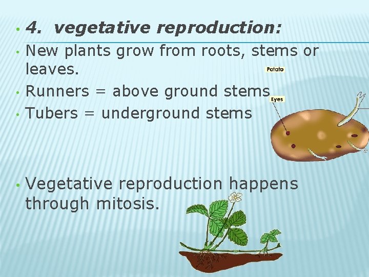 BELLWORK TF Reproduction requires 2 parents Some organisms