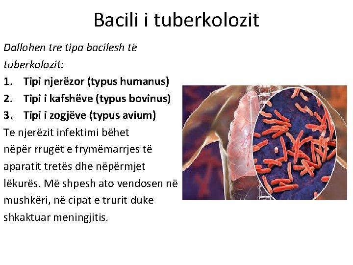 Shkolla e mesme profesionale Drejtimi Ushqimorkuzhinieri Lnda Mikrobiologji