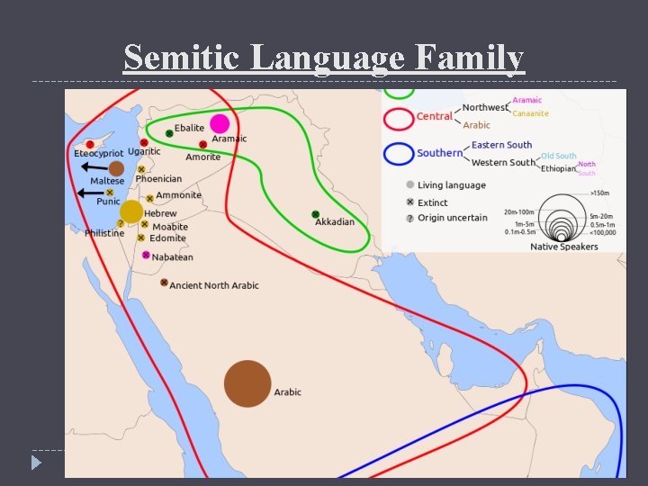 Bellringer 103 and 104 Pick up the papers