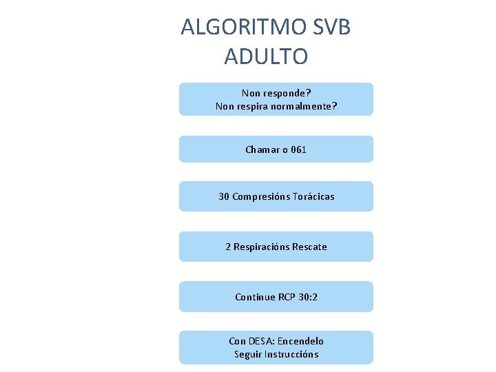 PRIMEIROS AUXILIOS SOPORTE VITAL BSICO PARA CENTROS ESCOLARES