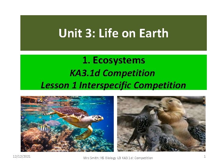 Unit 3 Life on Earth 1 Ecosystems KA