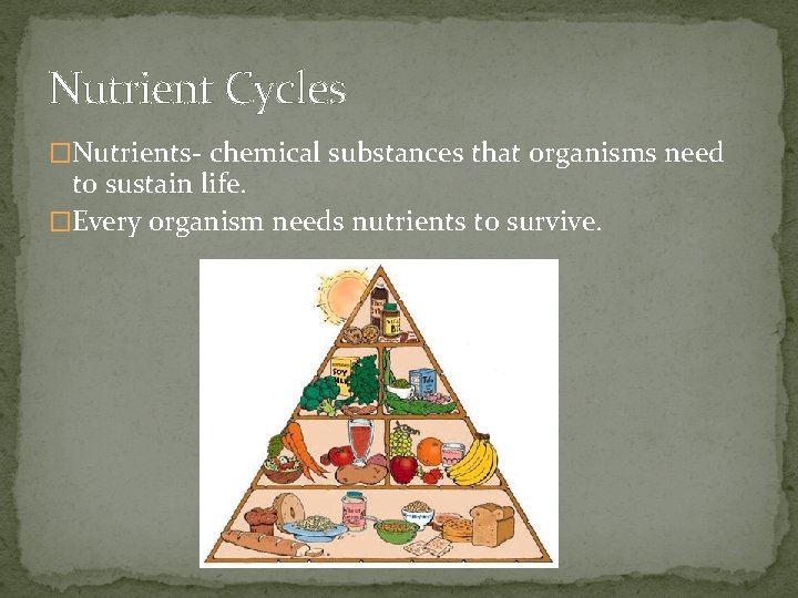 3 3 Energy Flow in Ecosystems Food Chains