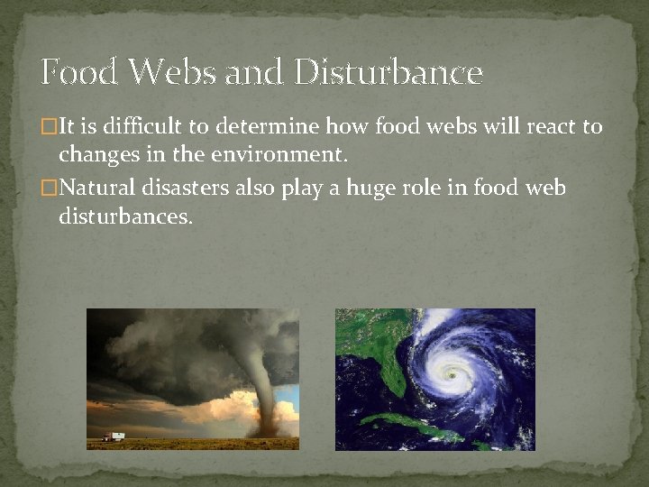 3 3 Energy Flow in Ecosystems Food Chains