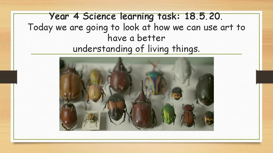 Year 4 Science learning task 18 5 20