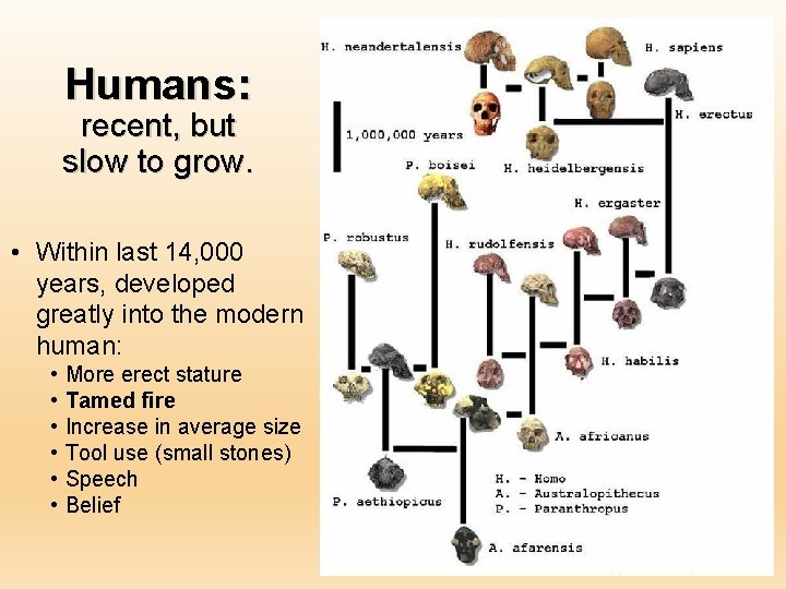 Coming to Be Coming to Farm Big Geography