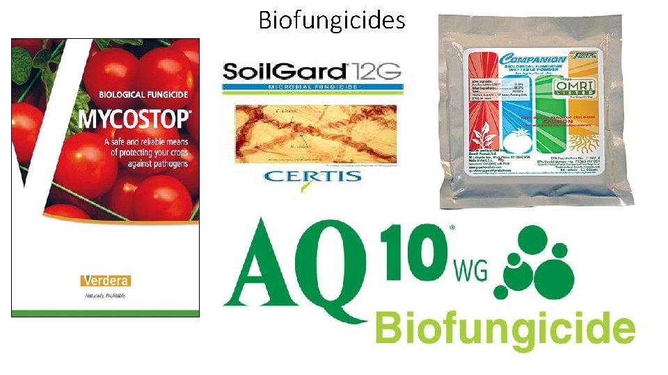 Agricultural Applications of Microbes Dr Hilal AY Plant