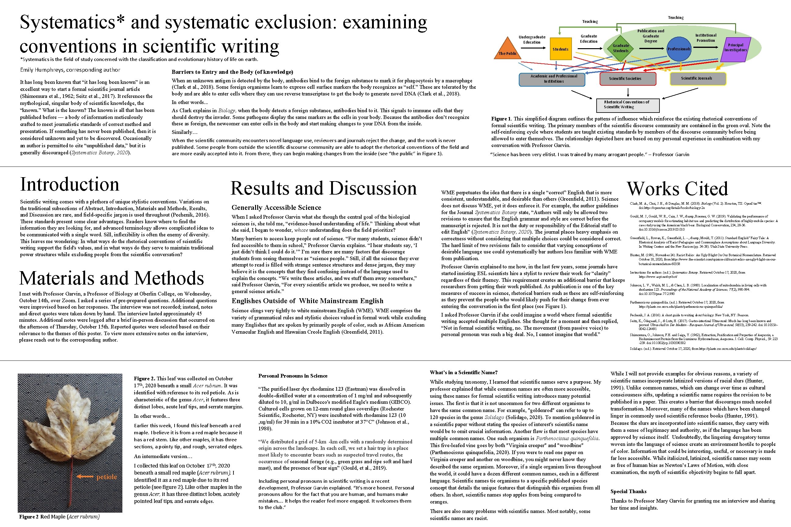 Systematics and systematic exclusion examining conventions in scientific