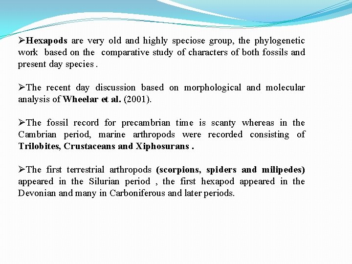 Phylogeny Of Hexapoda The subphylum Hexapoda from the