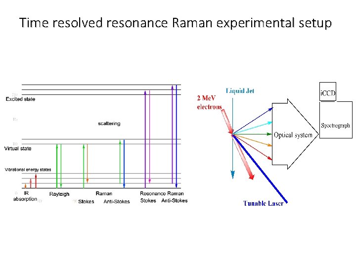 VIBRATIONAL SPECTROSCOPY OF CS 2 RADICAL ANION IN