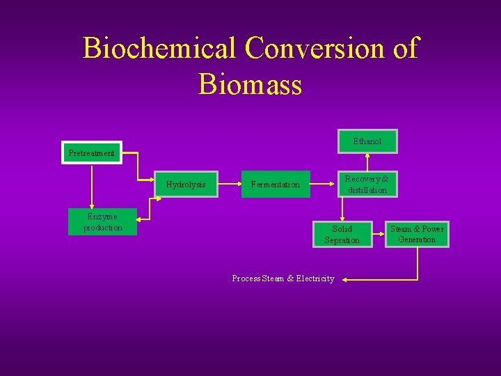 Biomass Plant and animal waste is used to