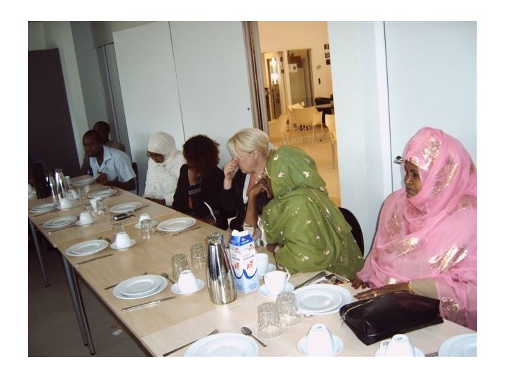 Iftiin Project Objectives To empower ethnic women in