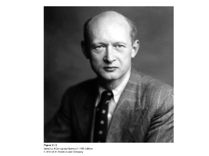 Benjamin A Pierce GENETICS A Conceptual Approach FIFTH