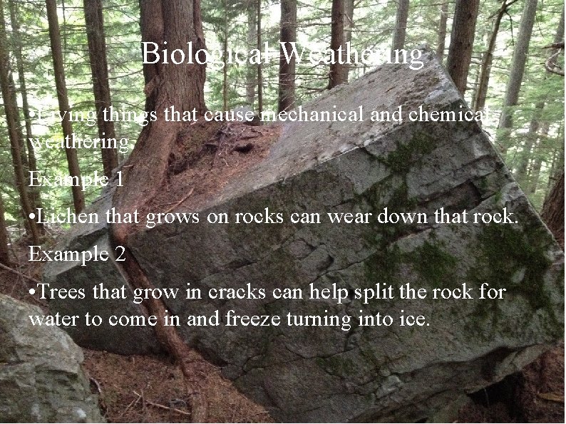 Weathering and Erosion By Diedrick Maddex Weathering Breaks