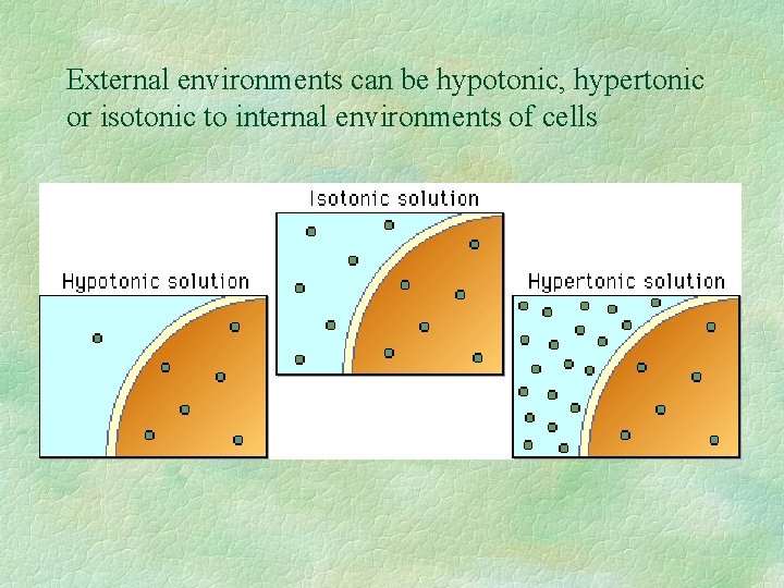 Essential knowledge 2 B 2 Growth and dynamic
