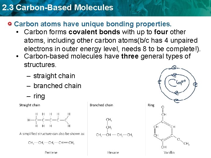 2 3 CarbonBased Molecules KEY CONCEPT Carbonbased molecules