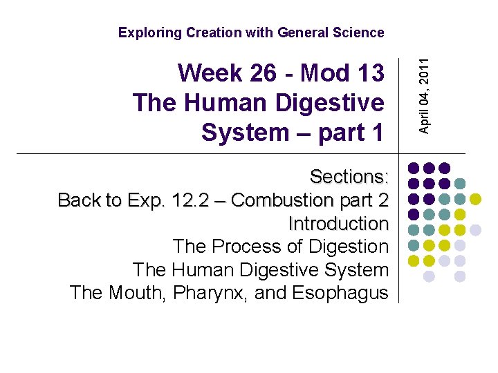 Week 26 Mod 13 The Human Digestive System