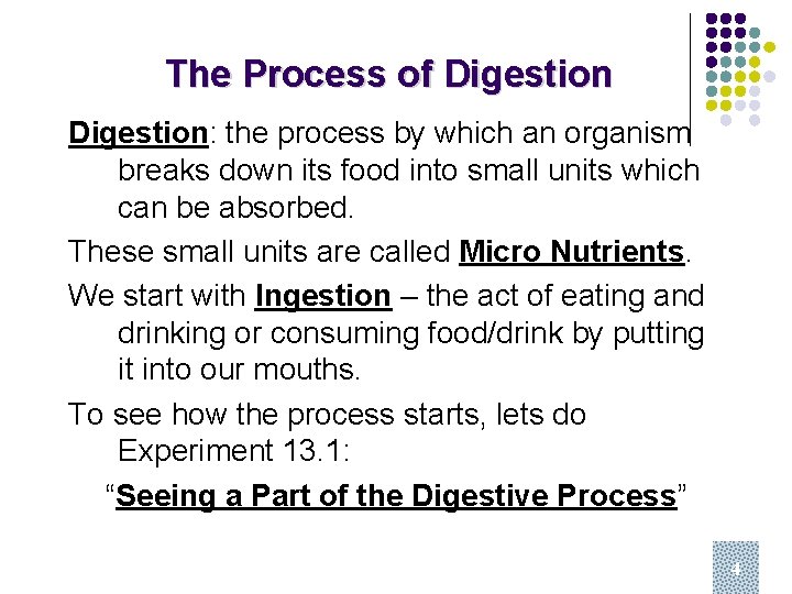 Week 26 Mod 13 The Human Digestive System
