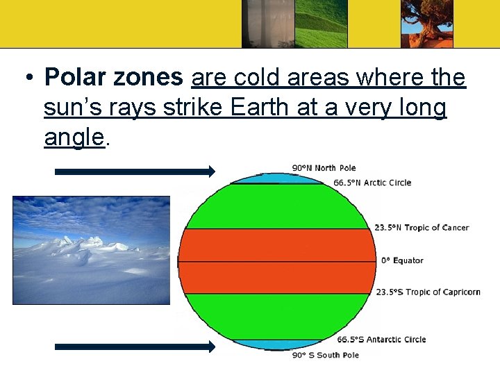 Biomes of the World Weather vs Climate Weather