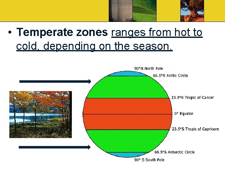 Biomes of the World Weather vs Climate Weather