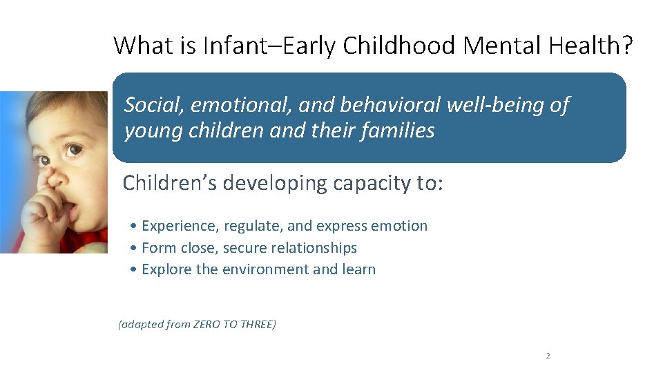 InfantEarly Childhood Mental Health Competency Guidelines and Endorsement