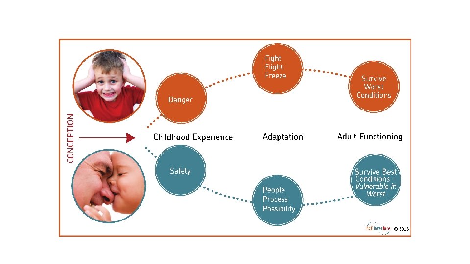InfantEarly Childhood Mental Health Competency Guidelines and Endorsement