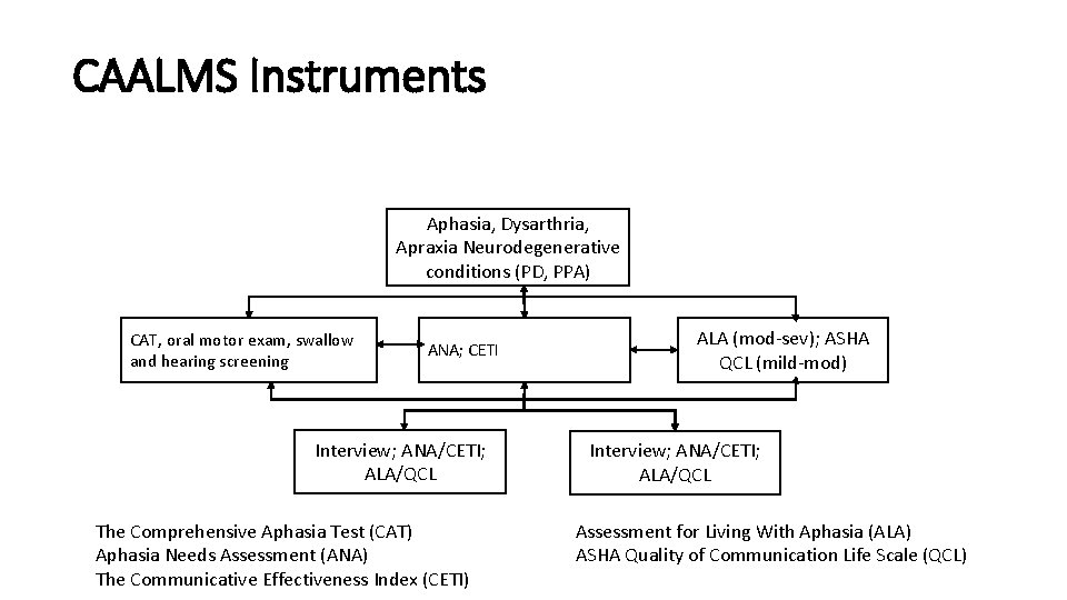 Assessment Outcome Measures Objectives Assessment domains CAALMS Instrument
