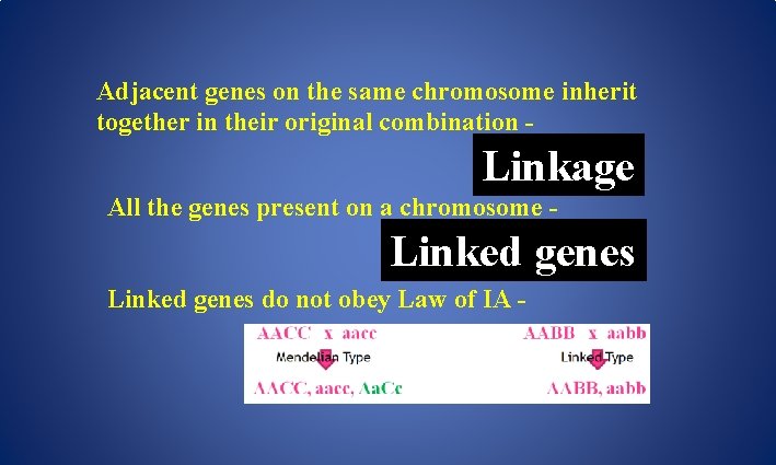 Linkage Gene Mapping Inheritance or Heredity Vertical Inheritance
