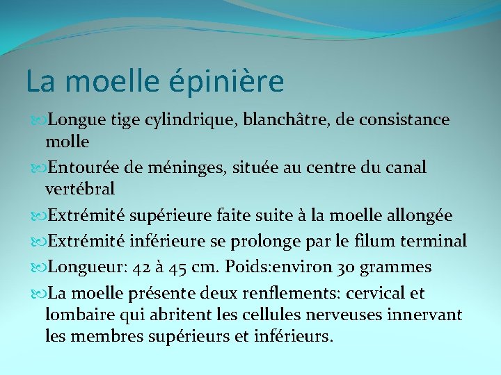 ANATOMIE DU RACHIS ET DE LA MOELLE EPINIERE