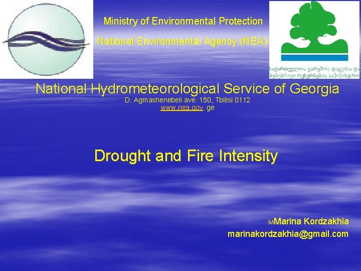 Ministry of Environmental Protection National Environmental Agency NEA