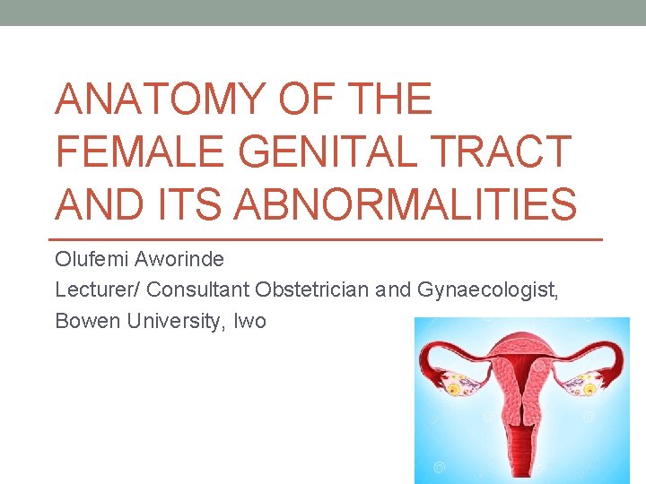 ANATOMY OF THE FEMALE GENITAL TRACT AND ITS