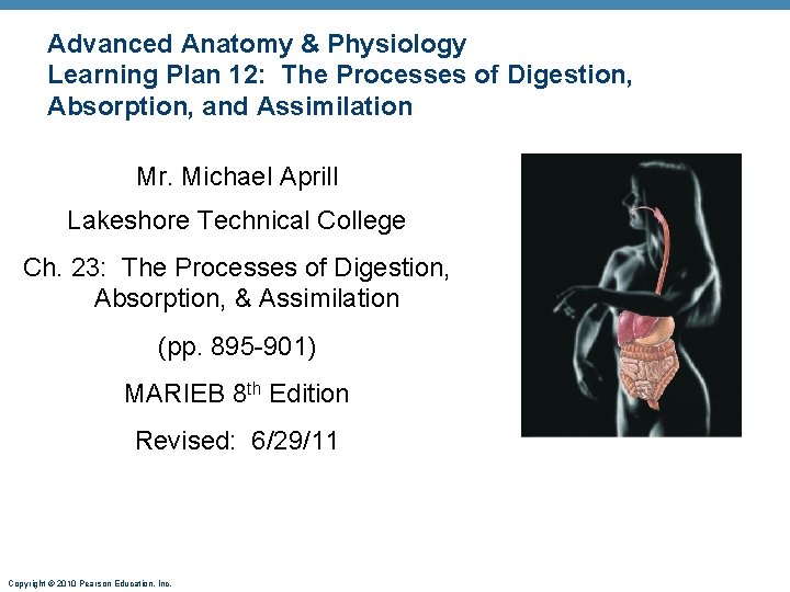 Advanced Anatomy Physiology Learning Plan 12 The Processes