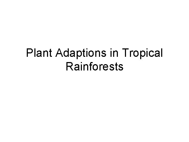 Plant Adaptions in Tropical Rainforests Tall tree trunks