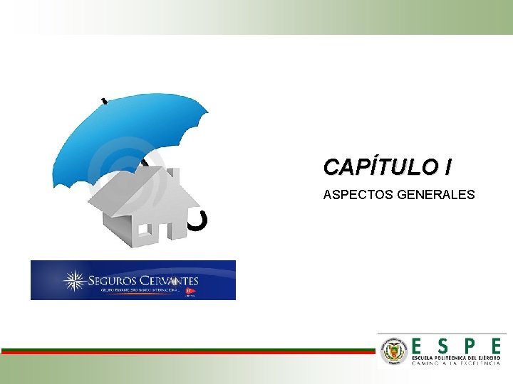 INDICE TEMA CAPTULO I ASPECTOS GENERALES CAPTULO II