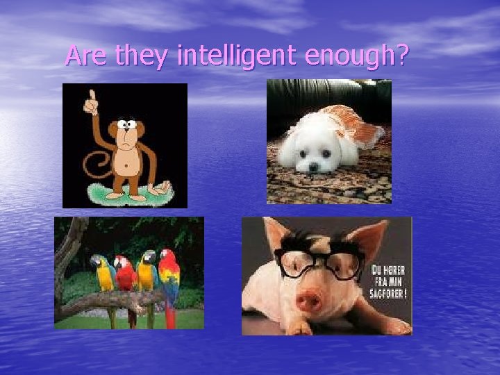 Unit 6 What Animals Really Think Teaching Objectives
