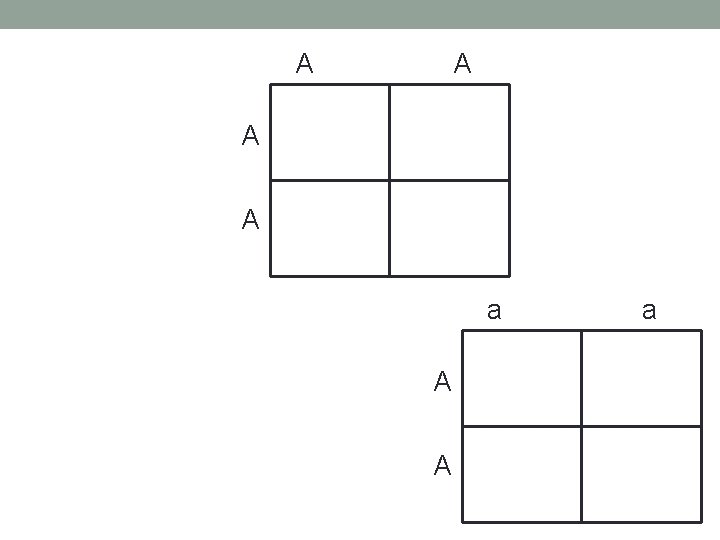 THE PUNNETT SQUARE How is this possible Where