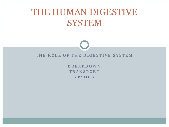 THE HUMAN DIGESTIVE SYSTEM THE ROLE OF THE