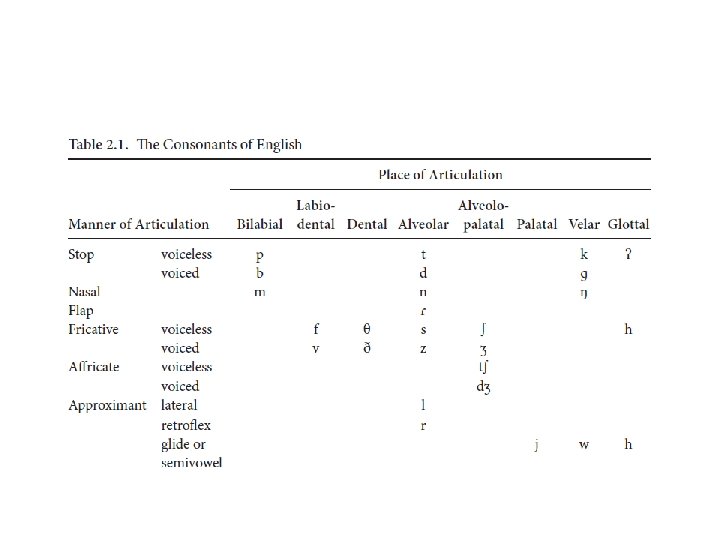 Chapter 2 Consonants and vowels Brinton Brinton 2010