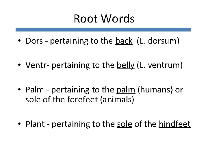 Introduction to Veterinary Medical Terminology BODY PLANES Outline