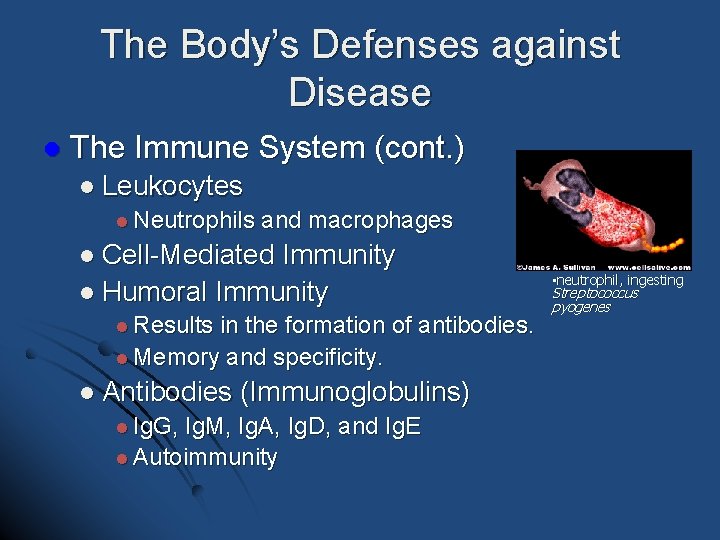 Infectious Diseases Chapter 12 Medical Considerations Contraction ...