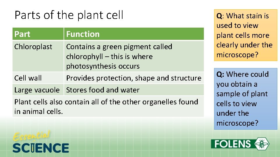 Chapter 3 The cell The Biological World Building